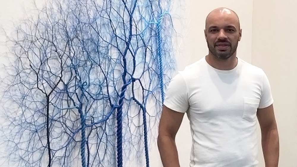 Quadro de Daniel Cavalcanti é destaque em expo do Imip – Portal Thiago ...